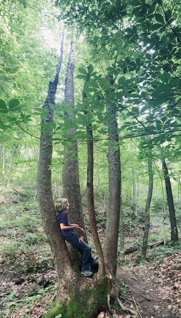 Secluded Hiking at Ohio Hanging Rock Preserve — discovering anew