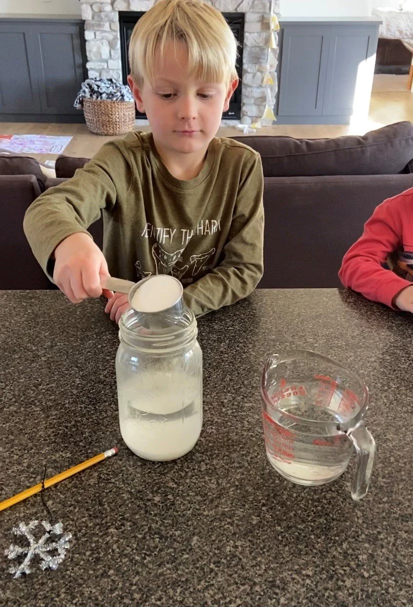 DIY Borax Crystals with Kids — discovering anew