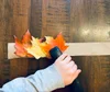 DIY Fall Leaf Crown: A Simple Autumn Craft for Kids — discovering anew