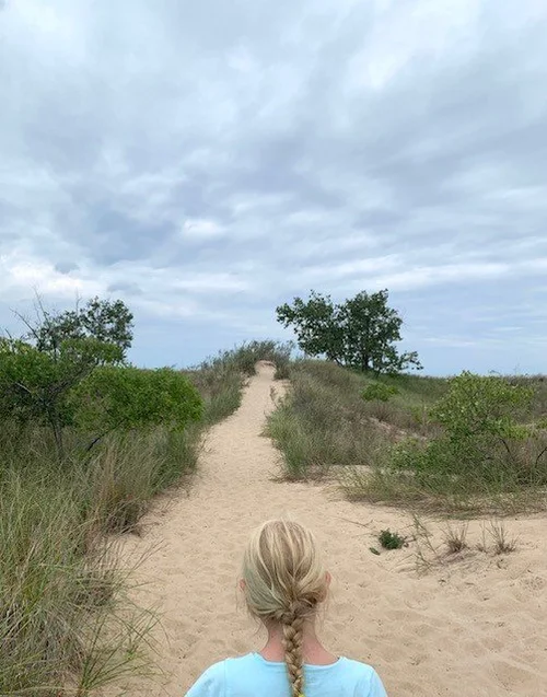 Warren Dunes State Park: Michigan Camping Guide — discovering anew