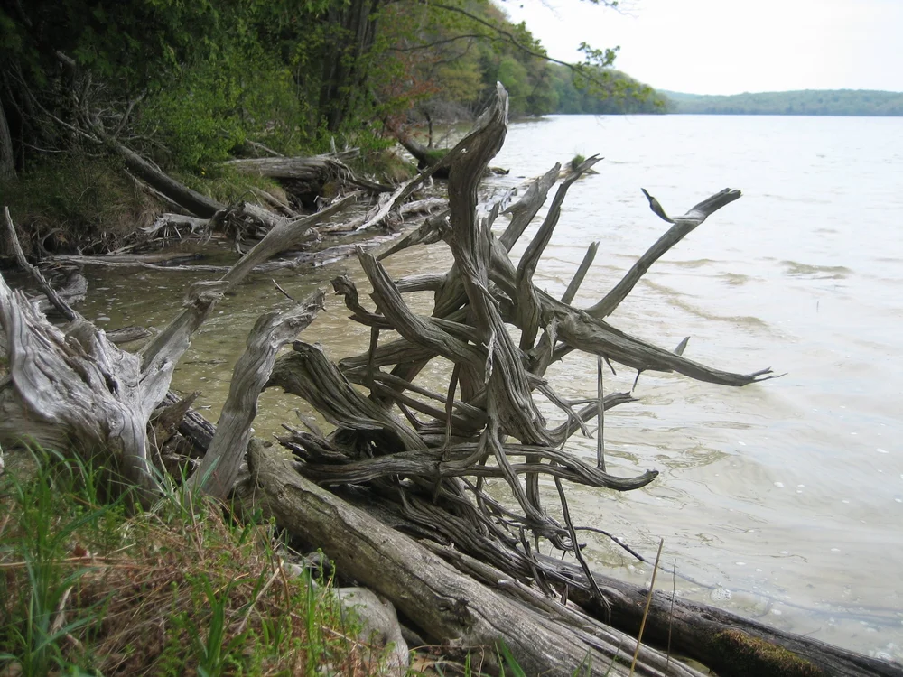 Backpacking at North Manitou Island: Trip Guide — discovering anew