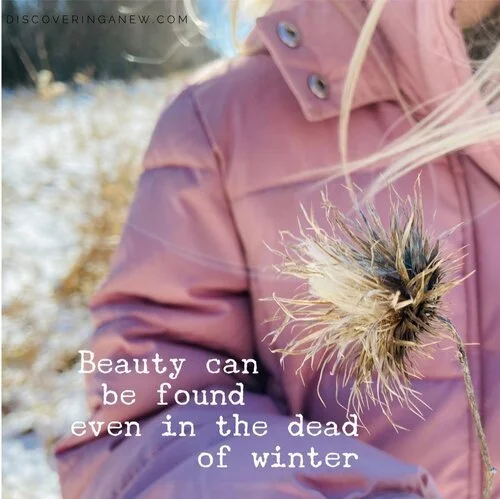 Winter Themed Children’s Books to Read during Winter Solstice ...