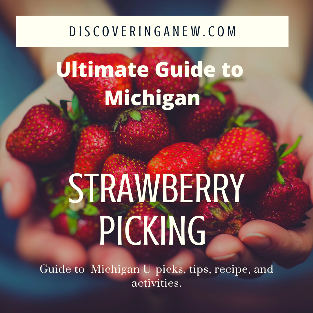 Guide to Michigan Strawberry Picking — discovering anew