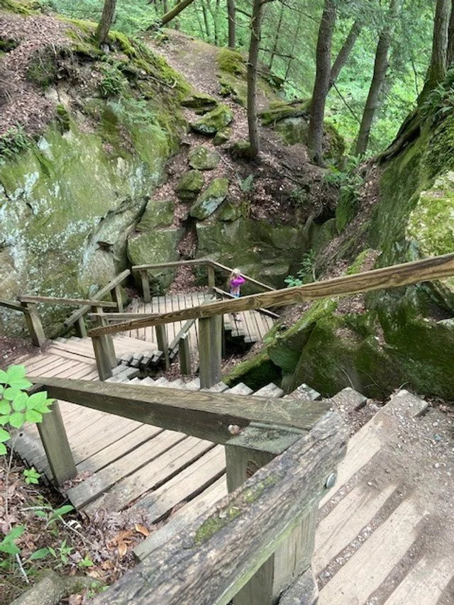 Turkey Run State Park Trail Guide for Families & Nature Lovers ...