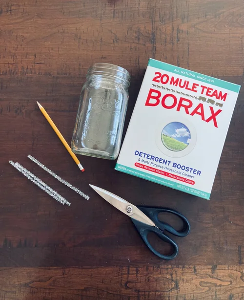 DIY Borax Crystals with Kids — discovering anew