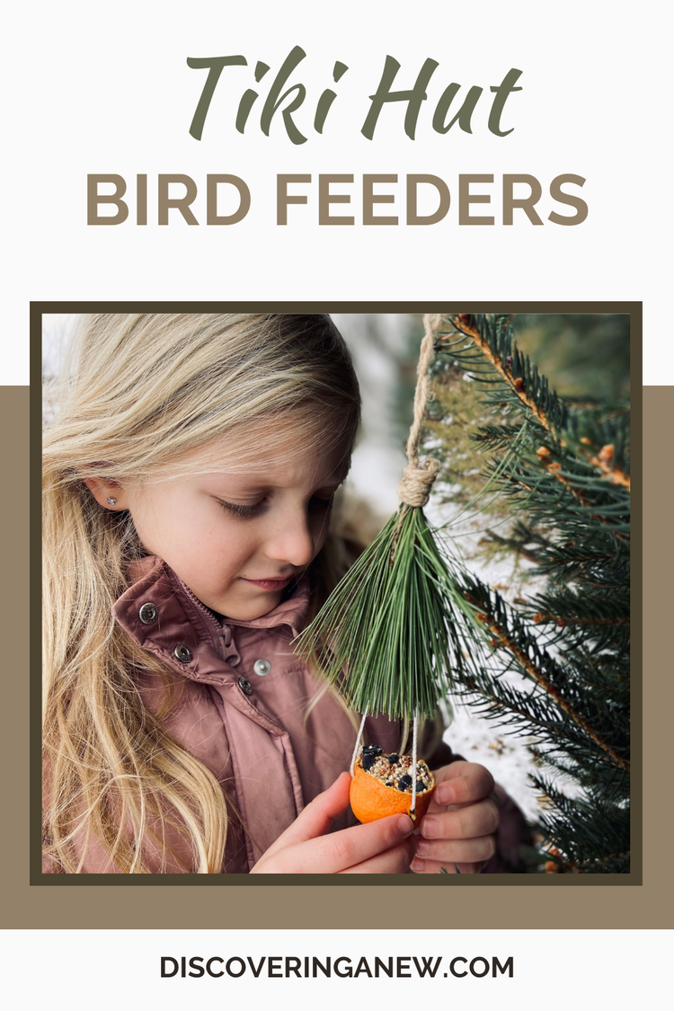 Tiki Hut Bird Feeders — discovering anew