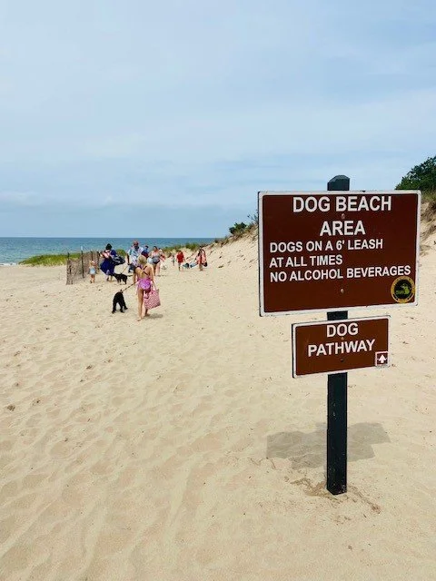 Warren Dunes State Park: Michigan Camping Guide — discovering anew