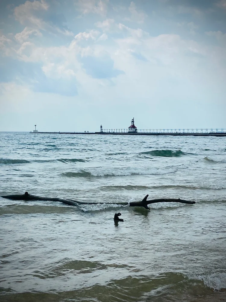 Top Things to Do with Kids near Silver Beach in Saint Joseph, Michigan ...