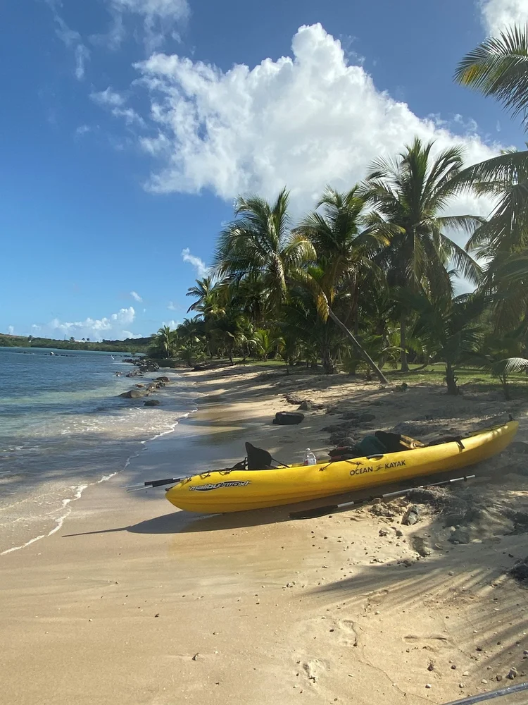 Discover the Best of Saint Croix: Top Things to Do — discovering anew