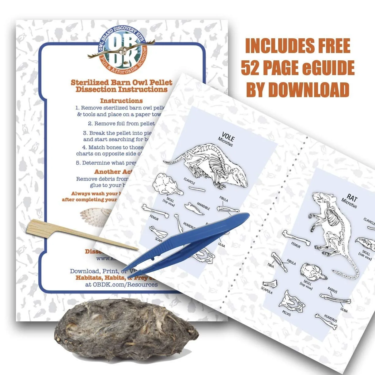 A Guide to Dissecting Owl Pellets — discovering anew