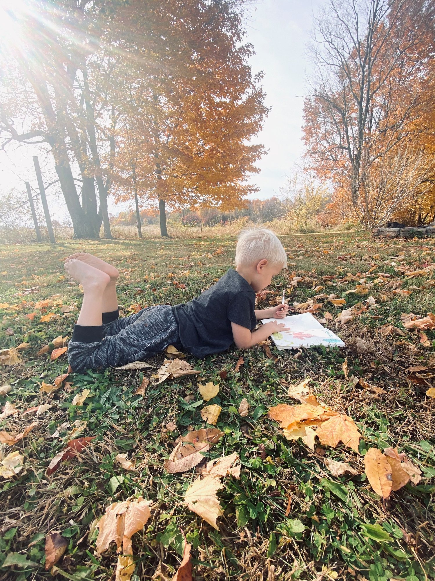 5 Nature Inspired Gratitude Activities and Crafts for Kids ...