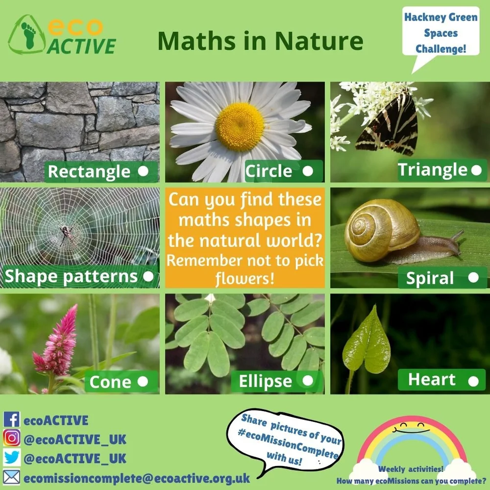 Nature hunts for children — ecoACTIVE | environmental education in East ...