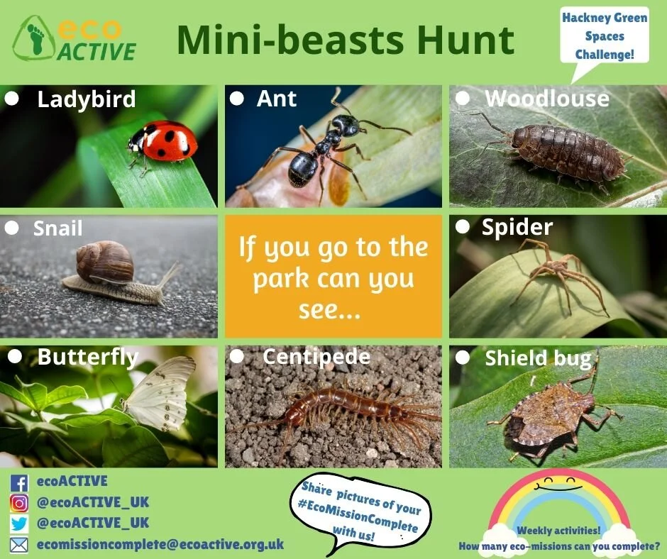 Nature hunts for children — ecoACTIVE | environmental education in East ...