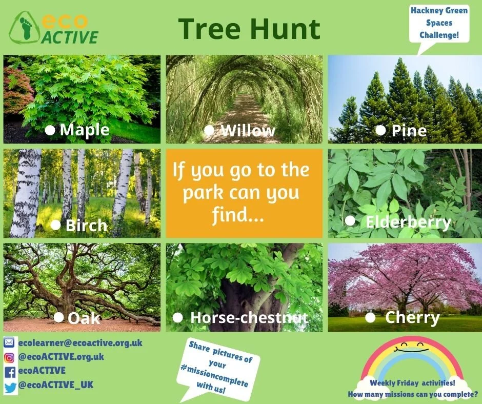 Nature hunts for children — ecoACTIVE | environmental education in East ...