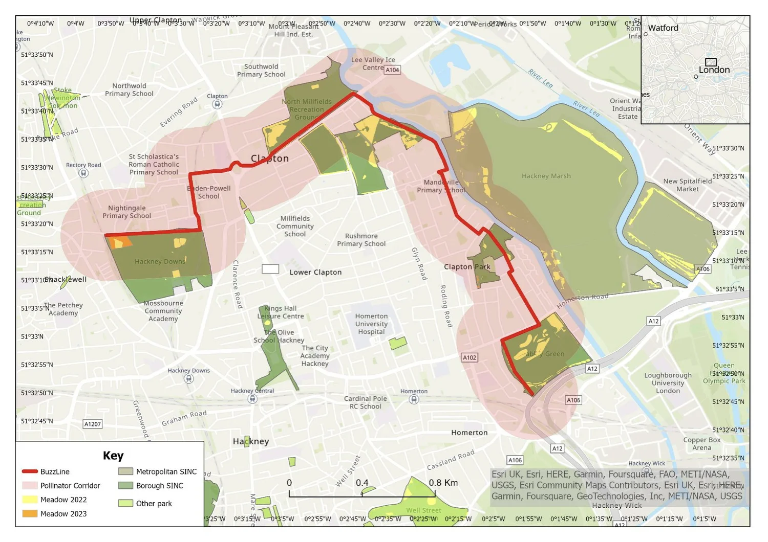 Community gardens in Hackney and Newham — ecoACTIVE | environmental ...