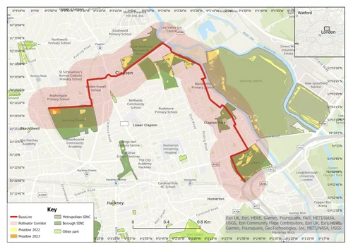 Community gardens in Hackney and Newham — ecoACTIVE | environmental ...