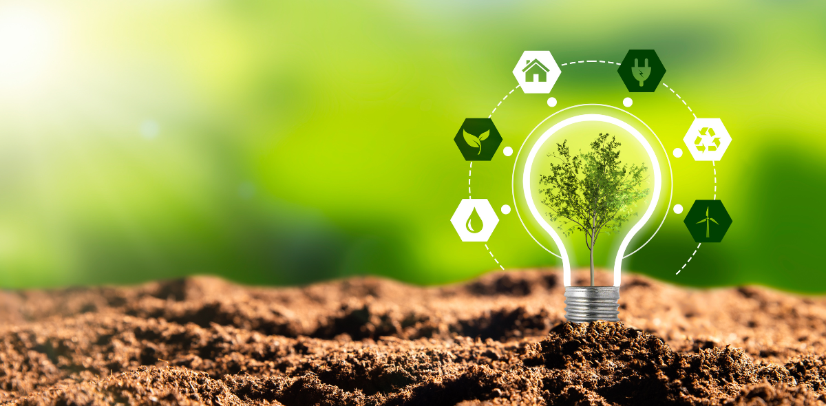 Sustainability Training for Staff — ecoACTIVE | environmental education ...