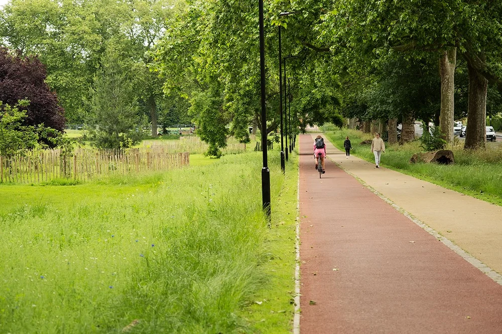 The Hackney Buzzline — ecoACTIVE | environmental education in East London