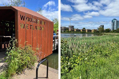East London Woodlands and Wetlands walk — ecoACTIVE | environmental ...