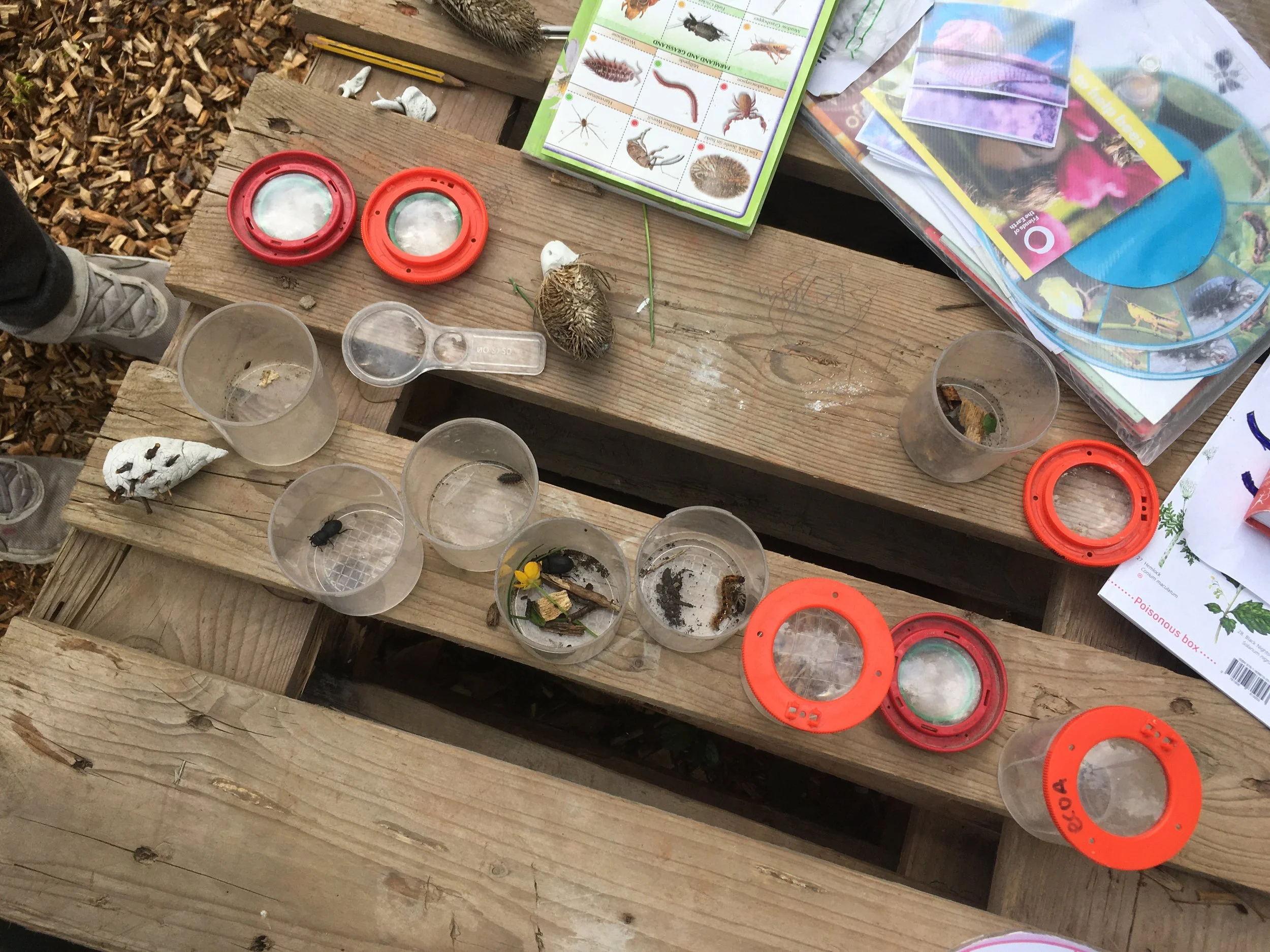 Forest School — ecoACTIVE | environmental education in East London