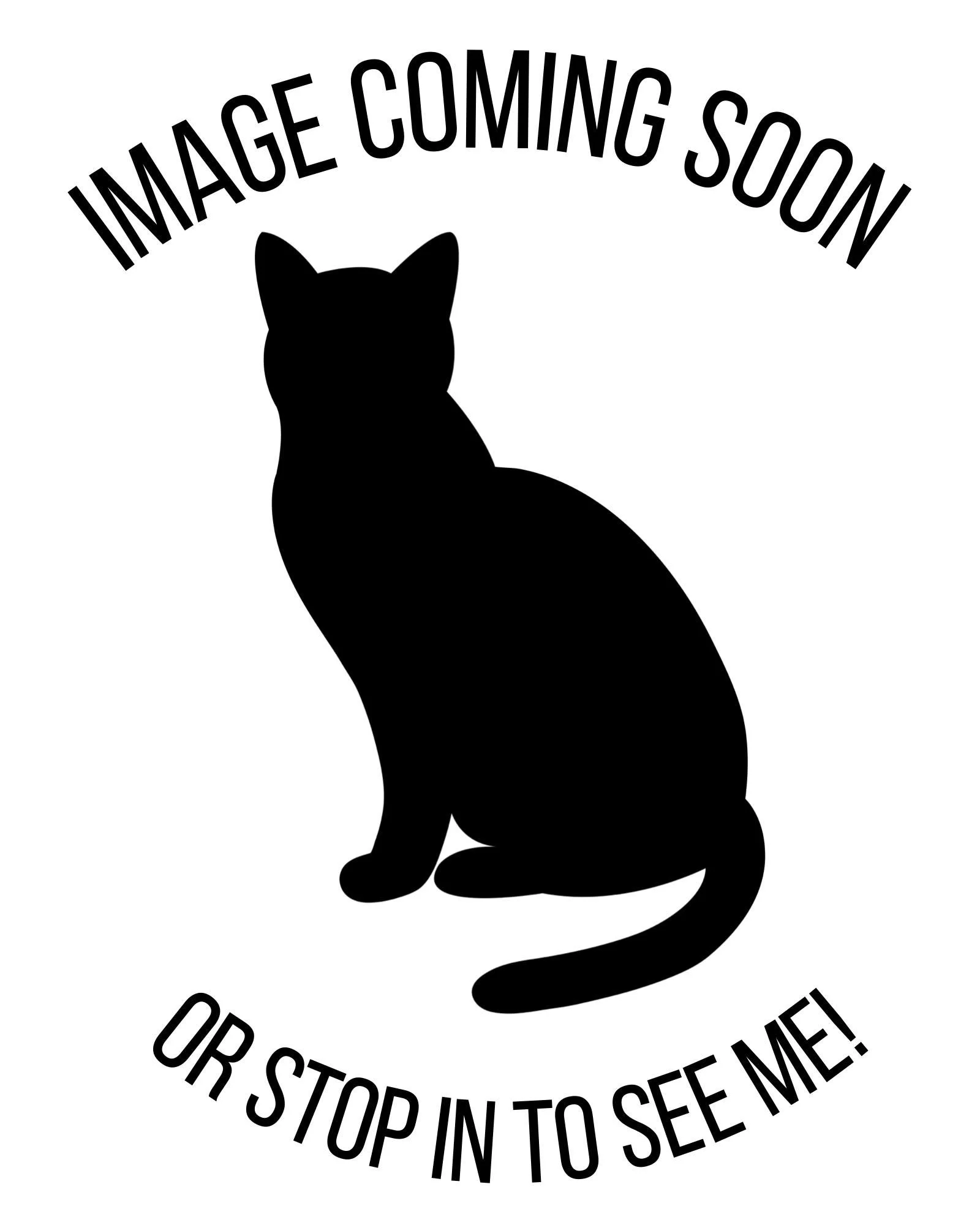 Cats — Carleton County Animal Shelter