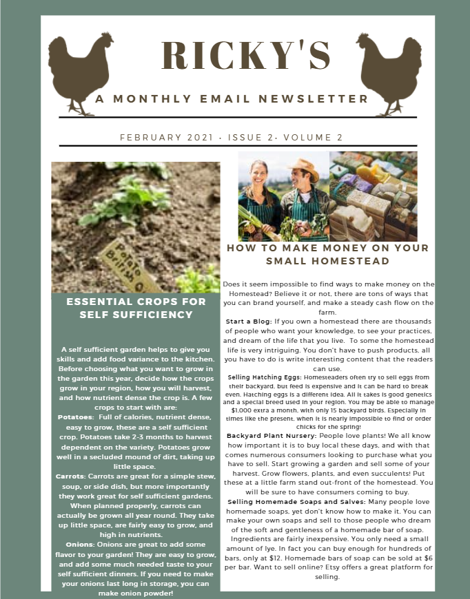 Newsletters — Ricky's