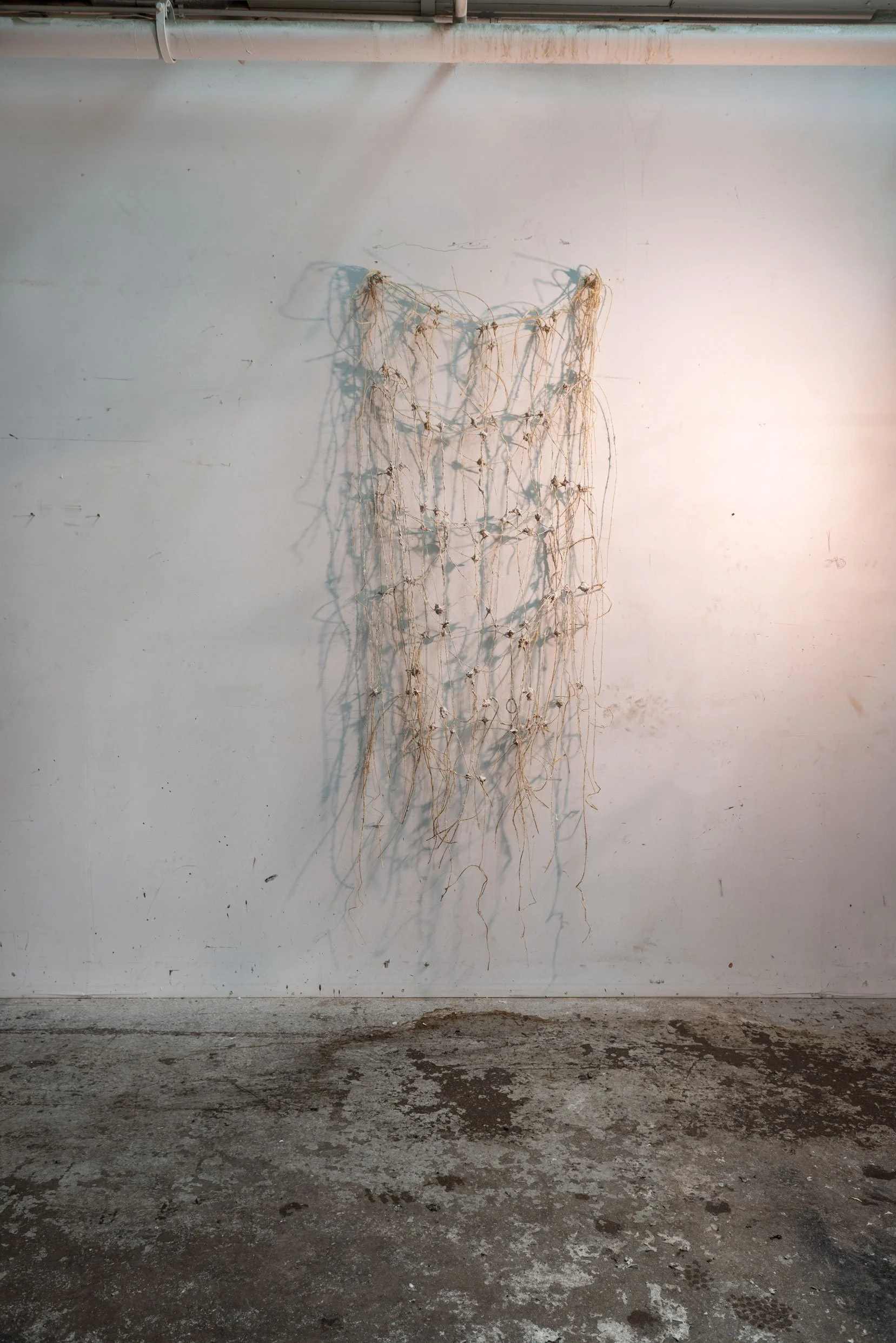 Cut Bonds — Kate Morrick