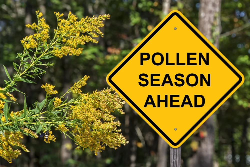 Allergy ENT of Texas
