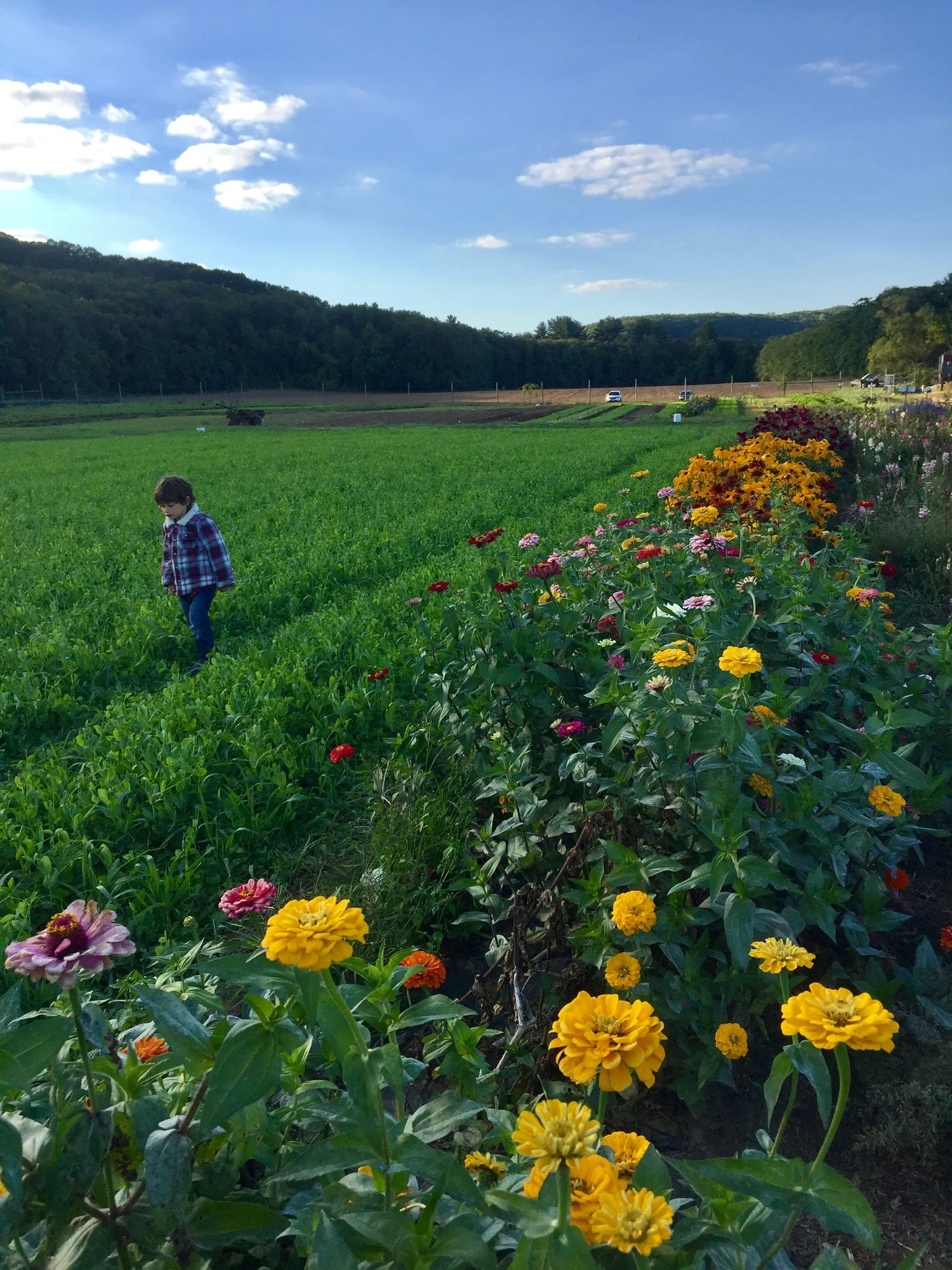 Meet the Farmers — Fort Hill Farm