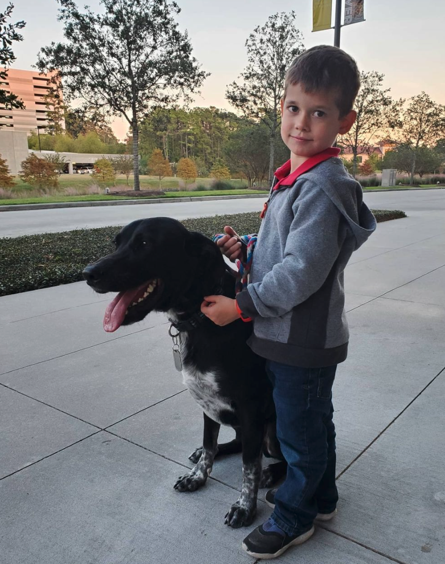 SUCCESS STORIES K9 OBEY Dog Training success-stories-k9-obey-dog-training