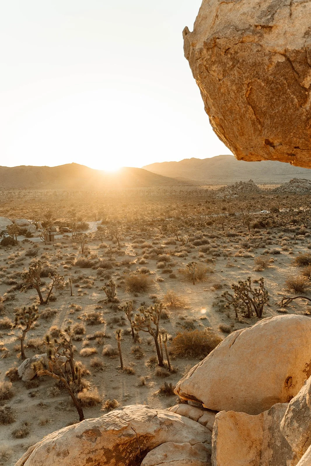 How to Plan a Joshua Tree National Park Wedding — Kass Films