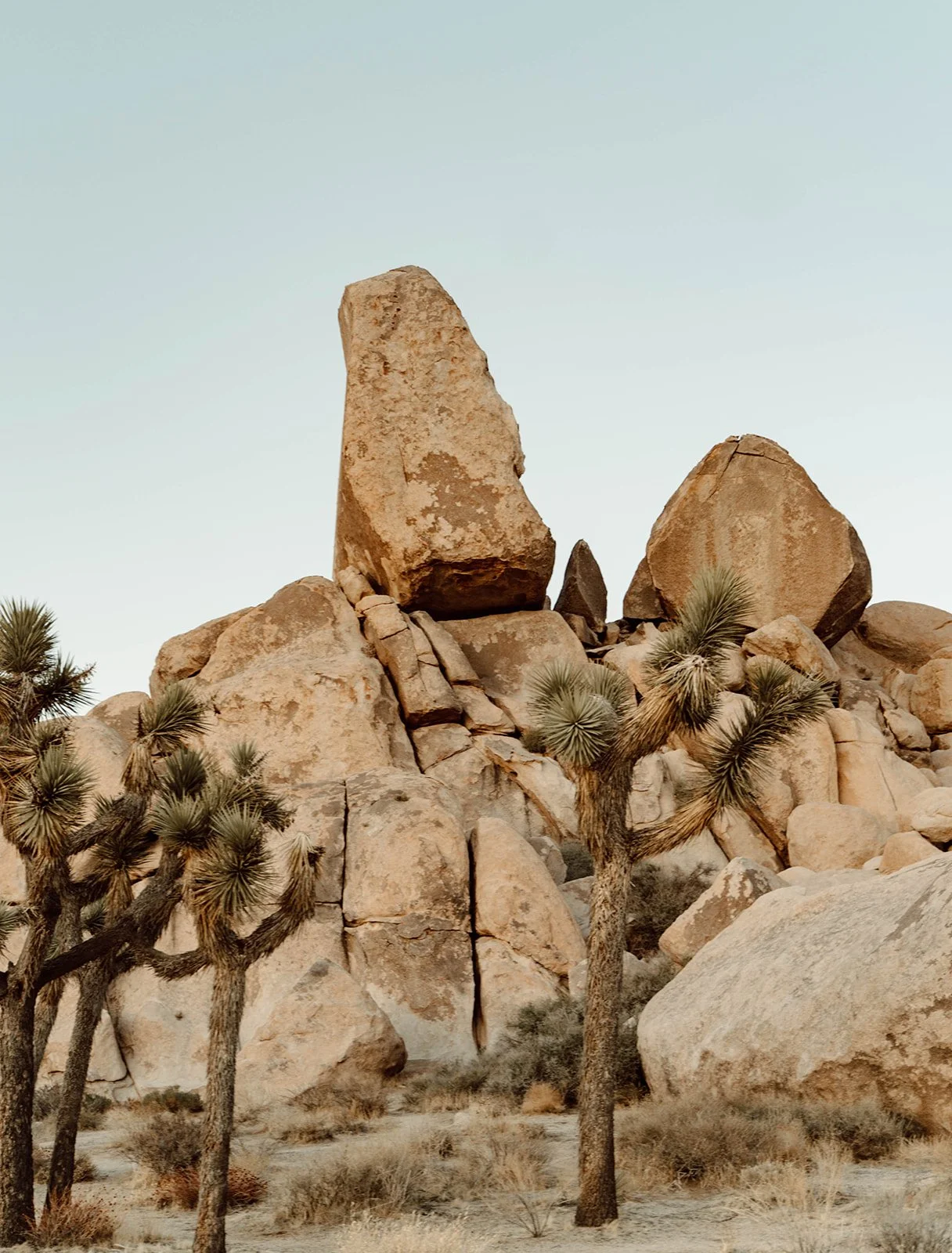 How to Plan a Joshua Tree National Park Wedding — Kass Films