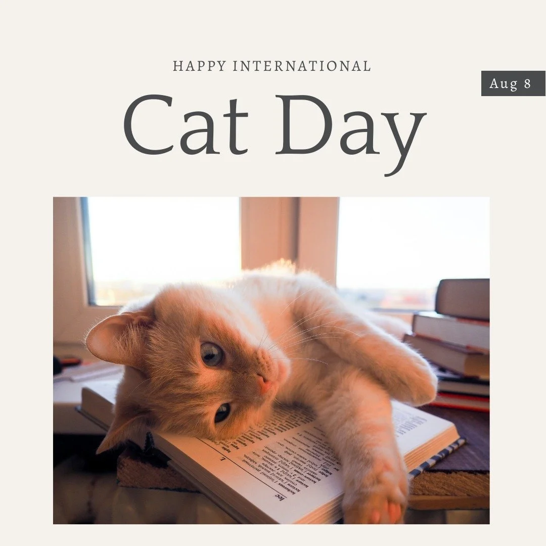 DropCap Q&A: Top Publishing Trends for 2022 — DropCap