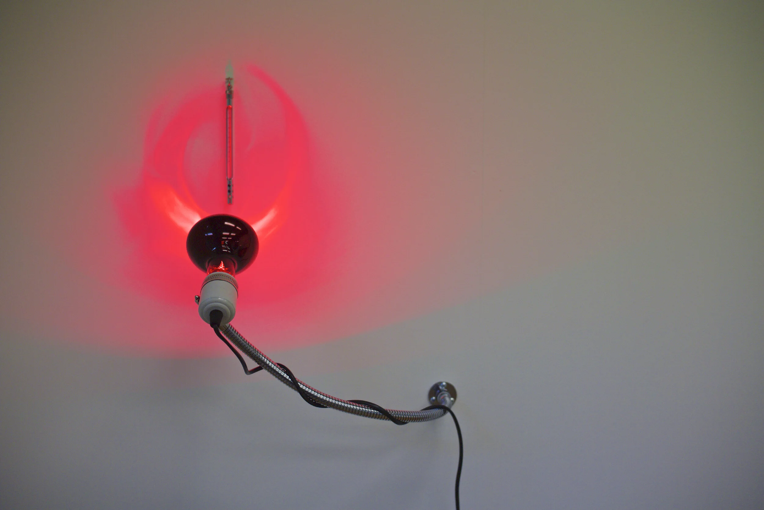 Pop culture miscellany — Roy Ananda