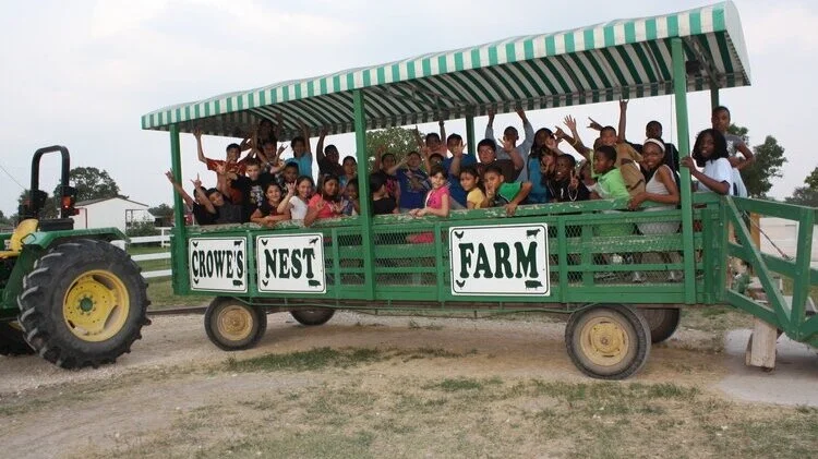 General 2 — Crowe's Nest Farm