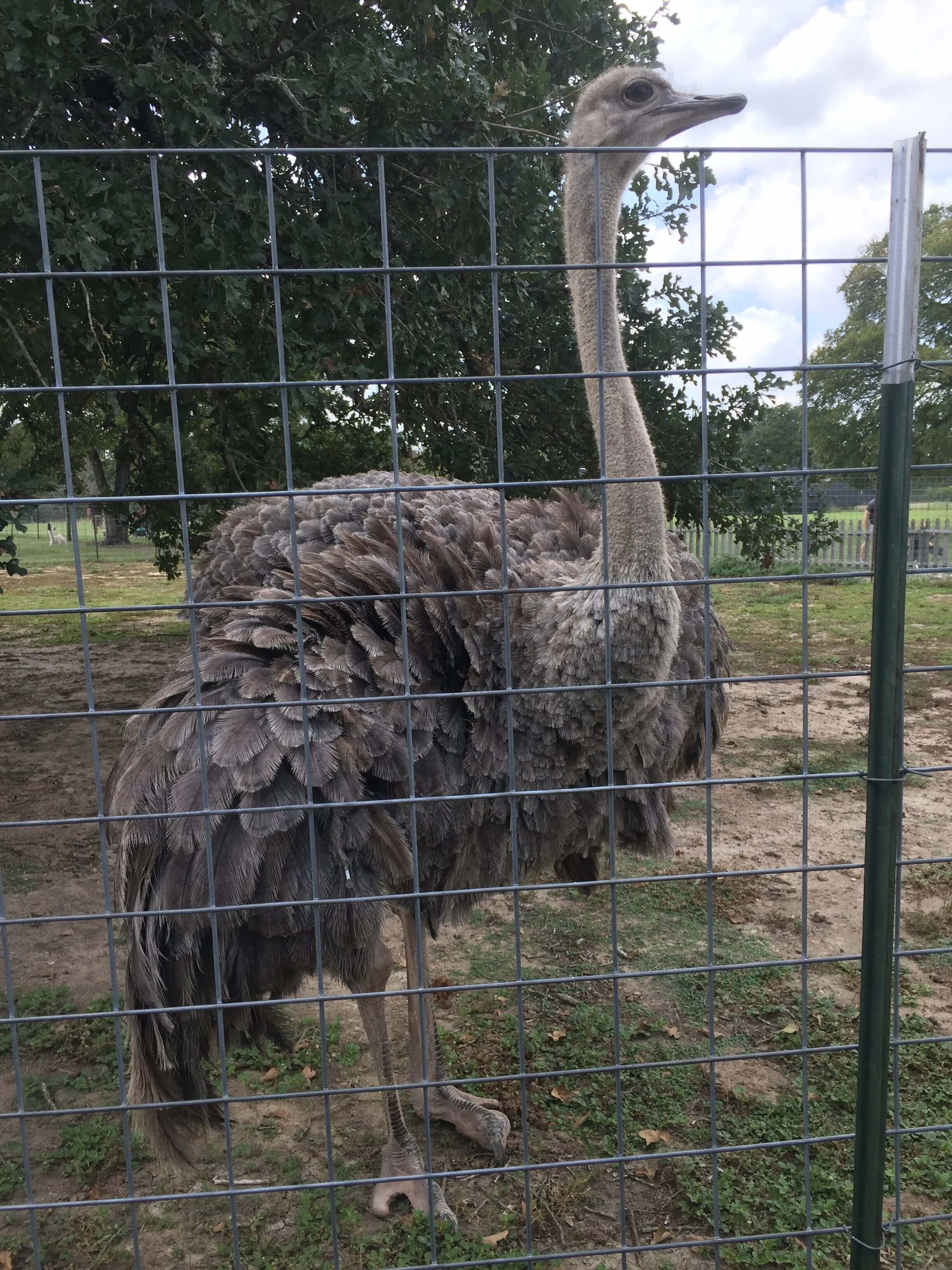 Gallery 1 — Crowe's Nest Farm