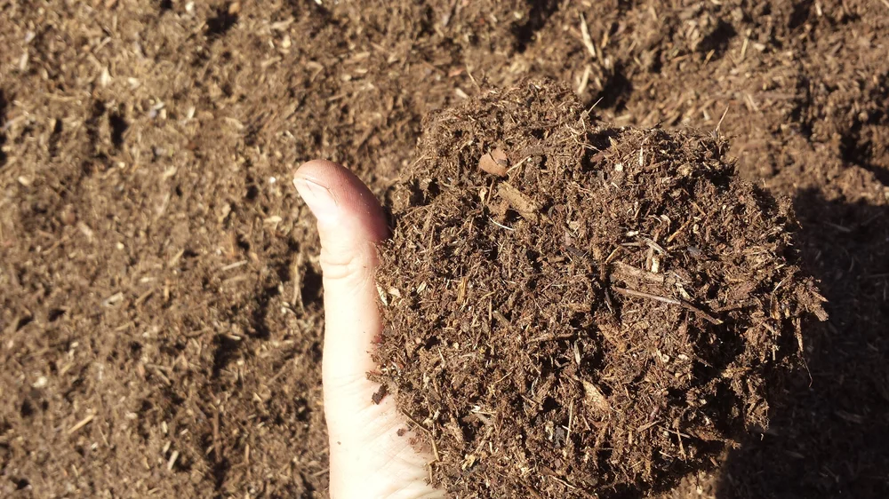 Services 3 — fresnobark.com