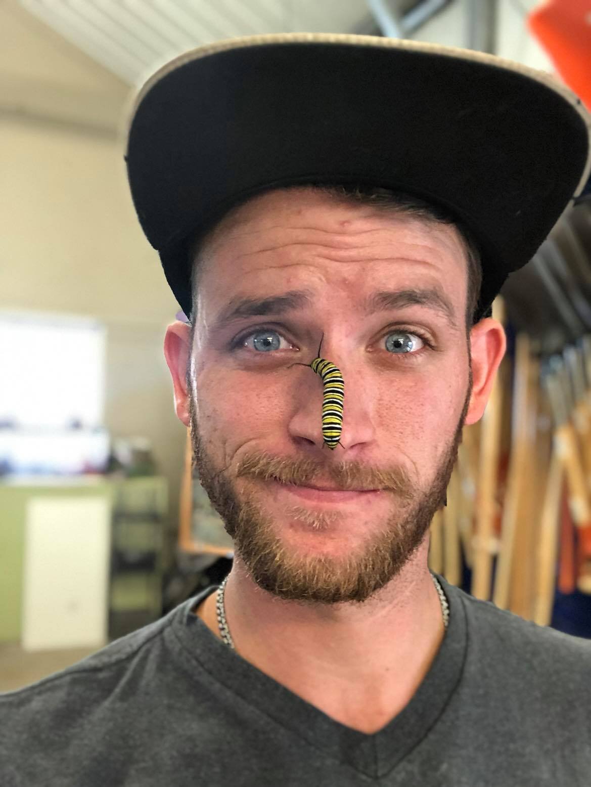 Our Story — Cronk Art & Curiosities