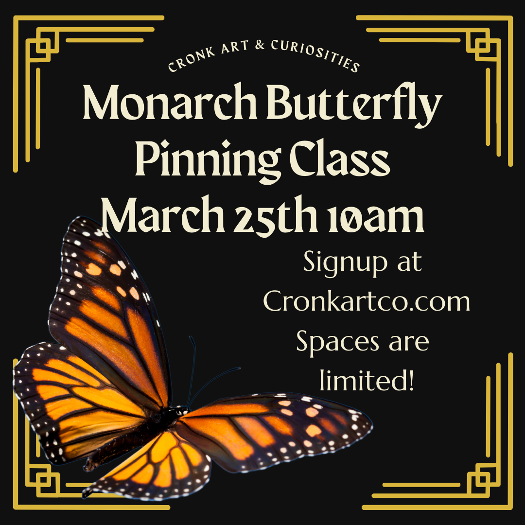 Classes — Cronk Art & Curiosities