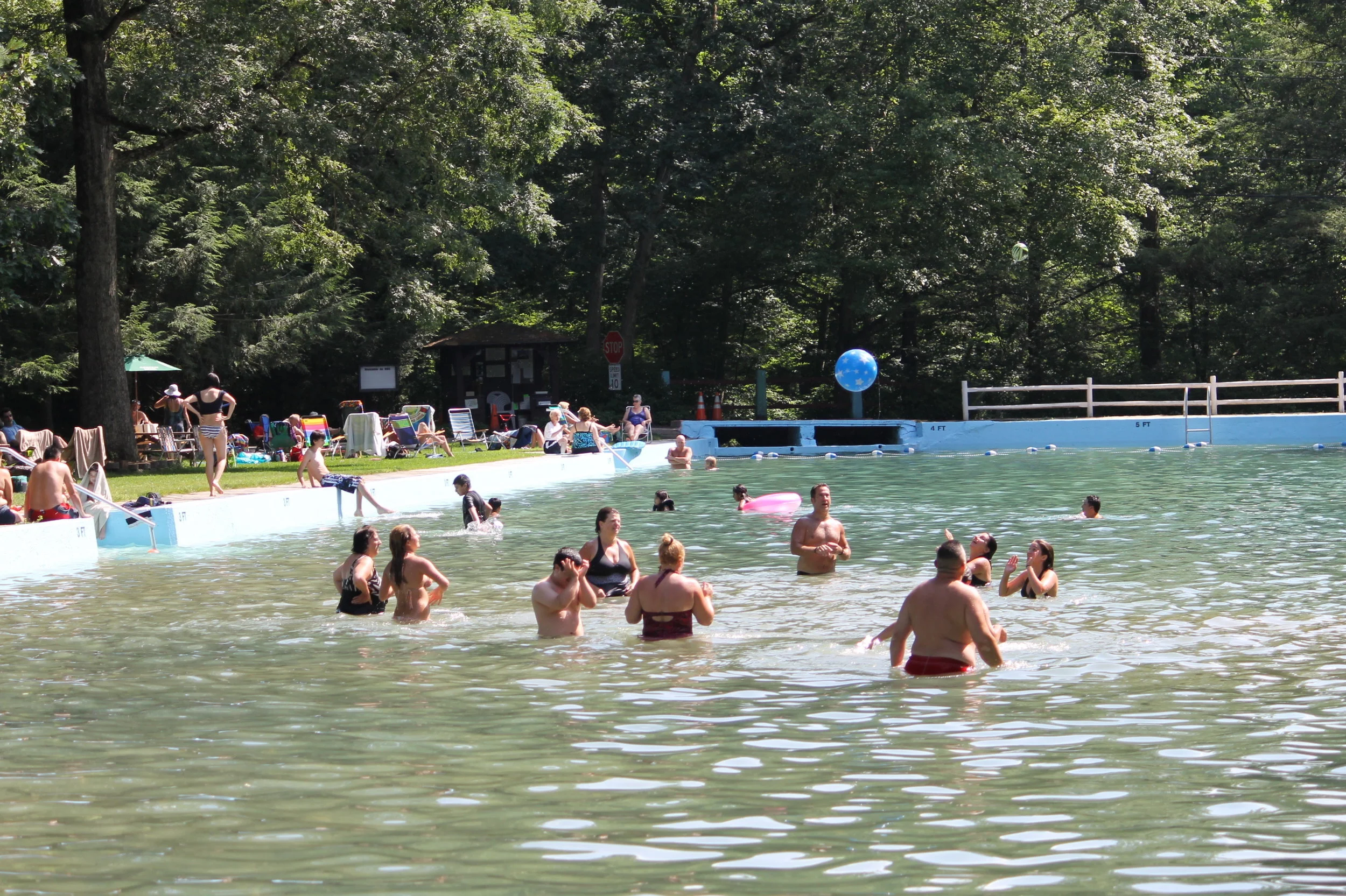 Membership Information — Swim and Sport Club