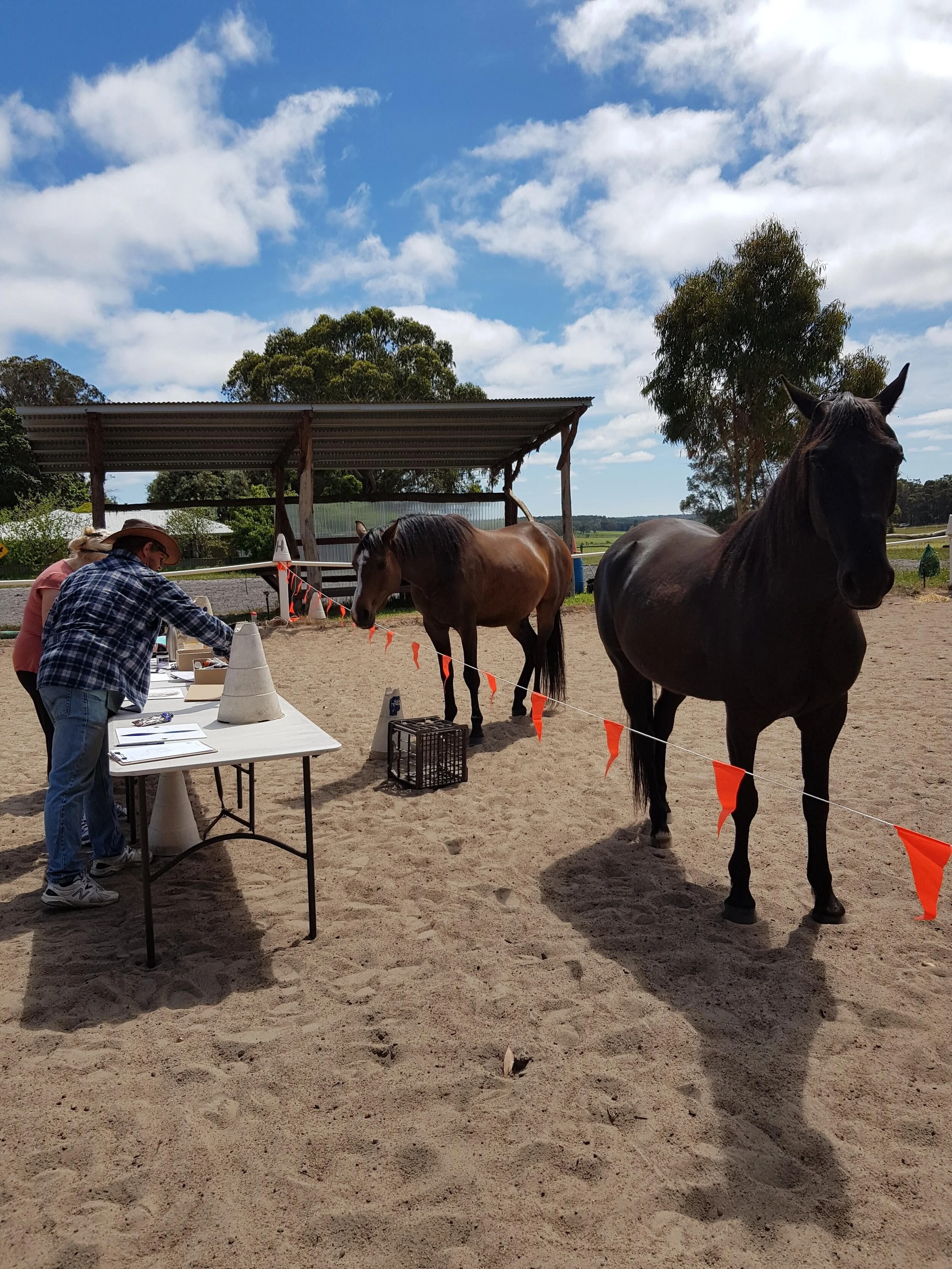 Services 4 — One Herd - Equine Facilitation