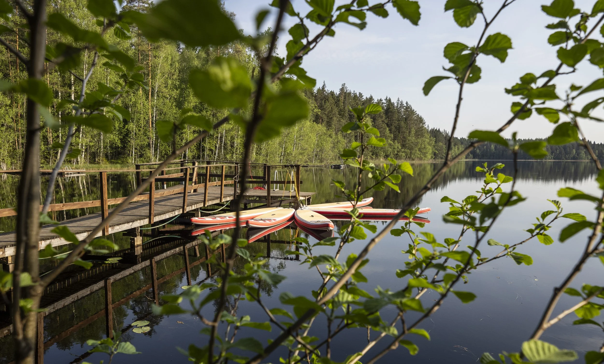 Hotelli luonnon keskellä - Welcome to the nature