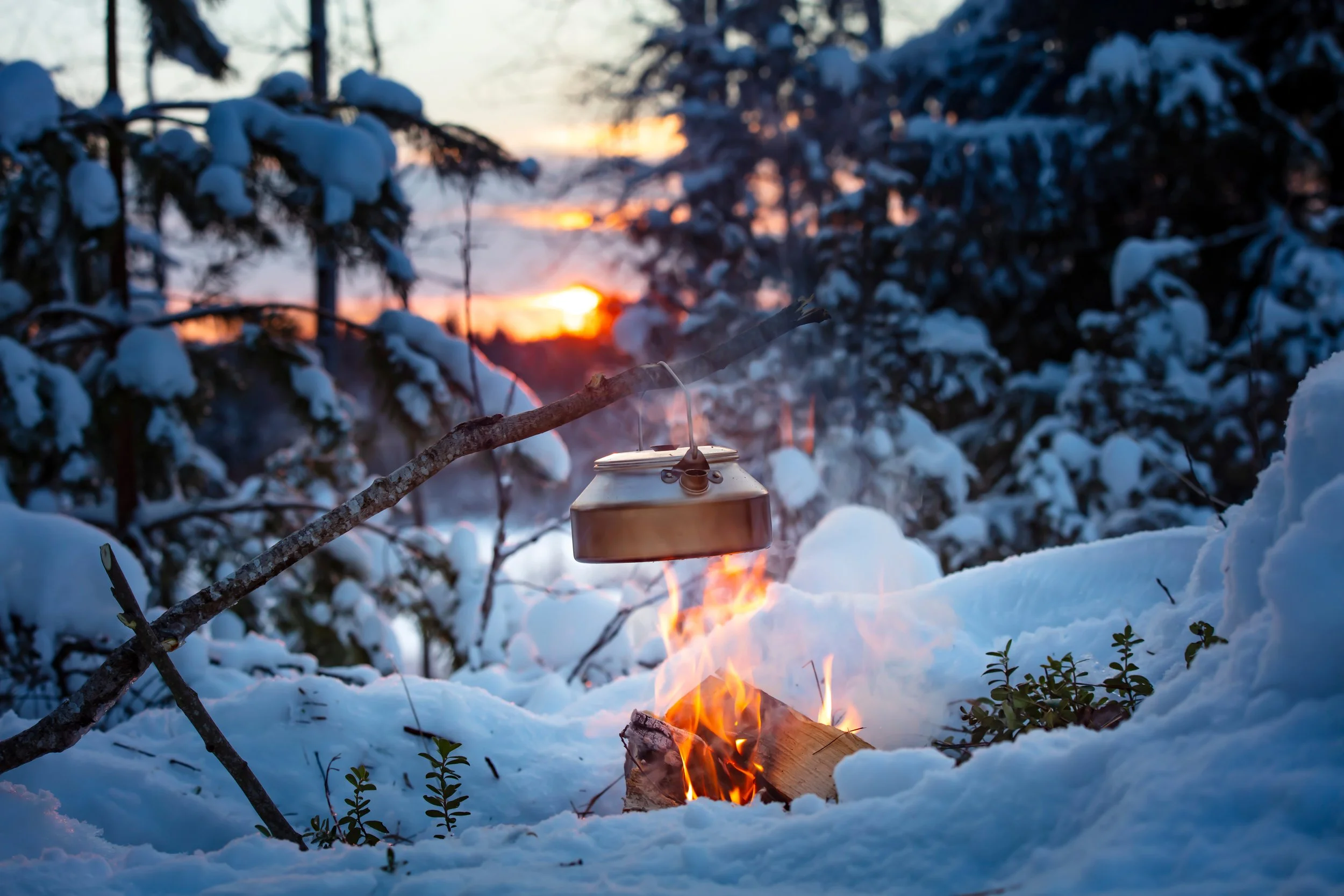 Hotelli luonnon keskellä - Welcome to the nature