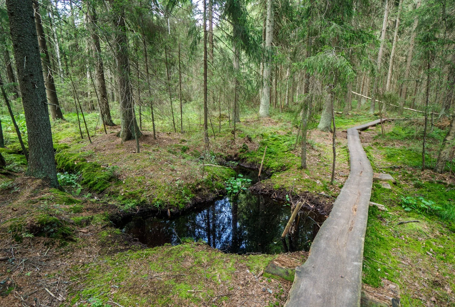 Hotelli luonnon keskellä - Welcome to the nature