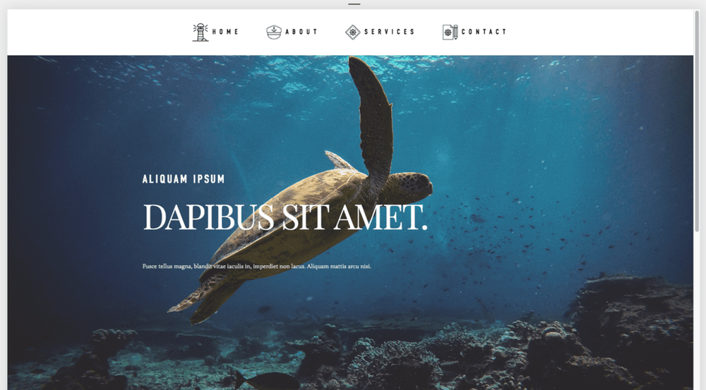 Squarespace Custom Code: The Ultimate Guide (13 Examples)