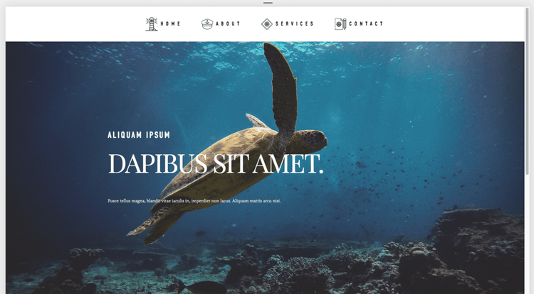 Squarespace Custom Code: The Ultimate Guide (13 Examples)