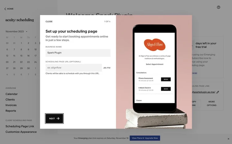 Squarespace Payments vs Stripe: 7 Crucial Differences