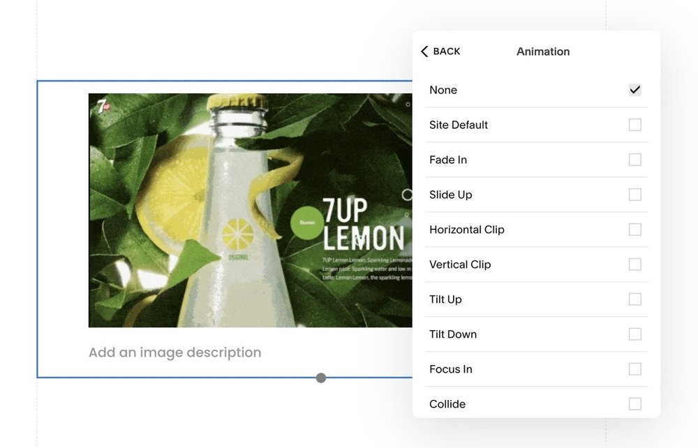 30+ Eye-Catching Squarespace Animations for Modern Websites