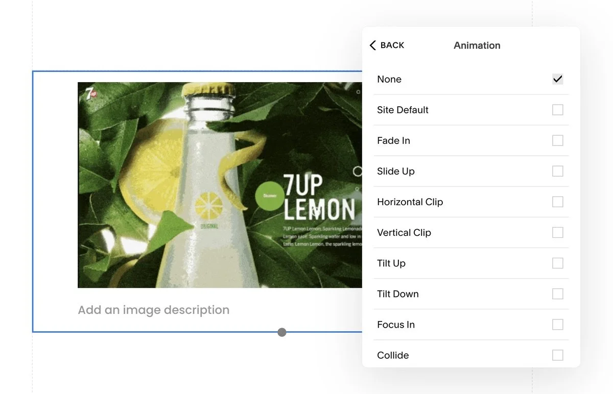 30+ Eye-Catching Squarespace Animations for Modern Websites