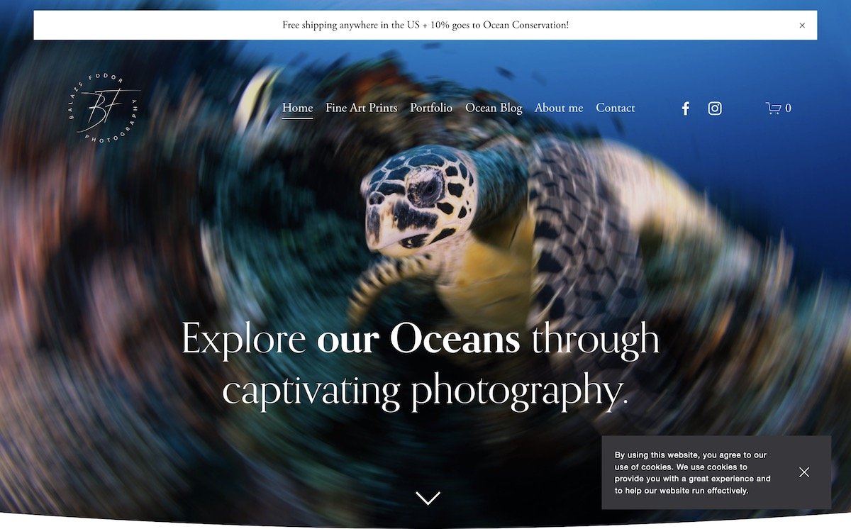 Squarespace for Artists: 16 Eye-catching Website Examples